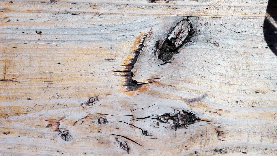 Holz Maserung Struktur - Kostenloses Foto auf Pixabay - Pixabay