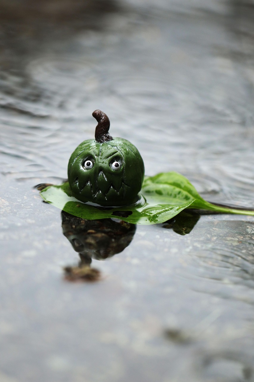 Water Leaf Figure - Free photo on Pixabay - Pixabay