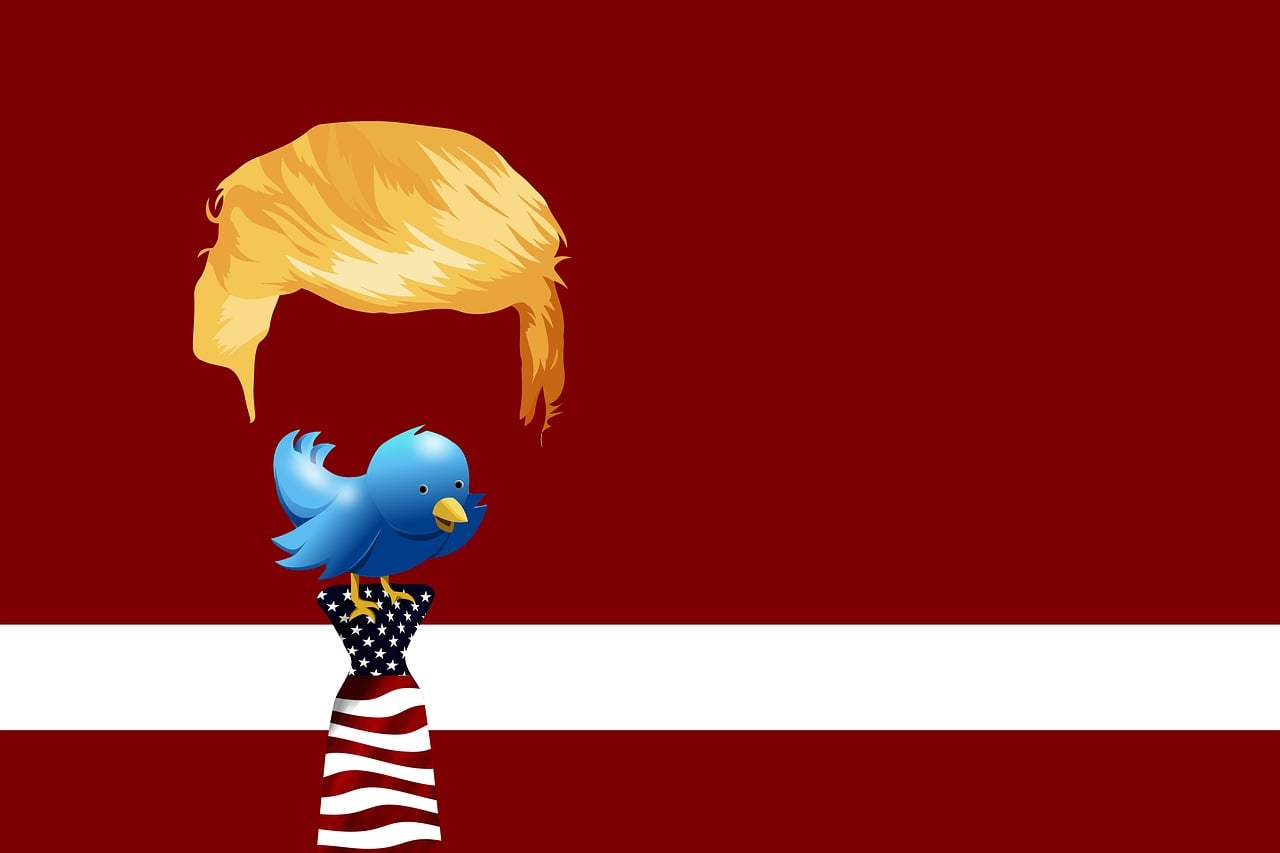 300+ Free Trump & Donald Trump Images - Pixabay