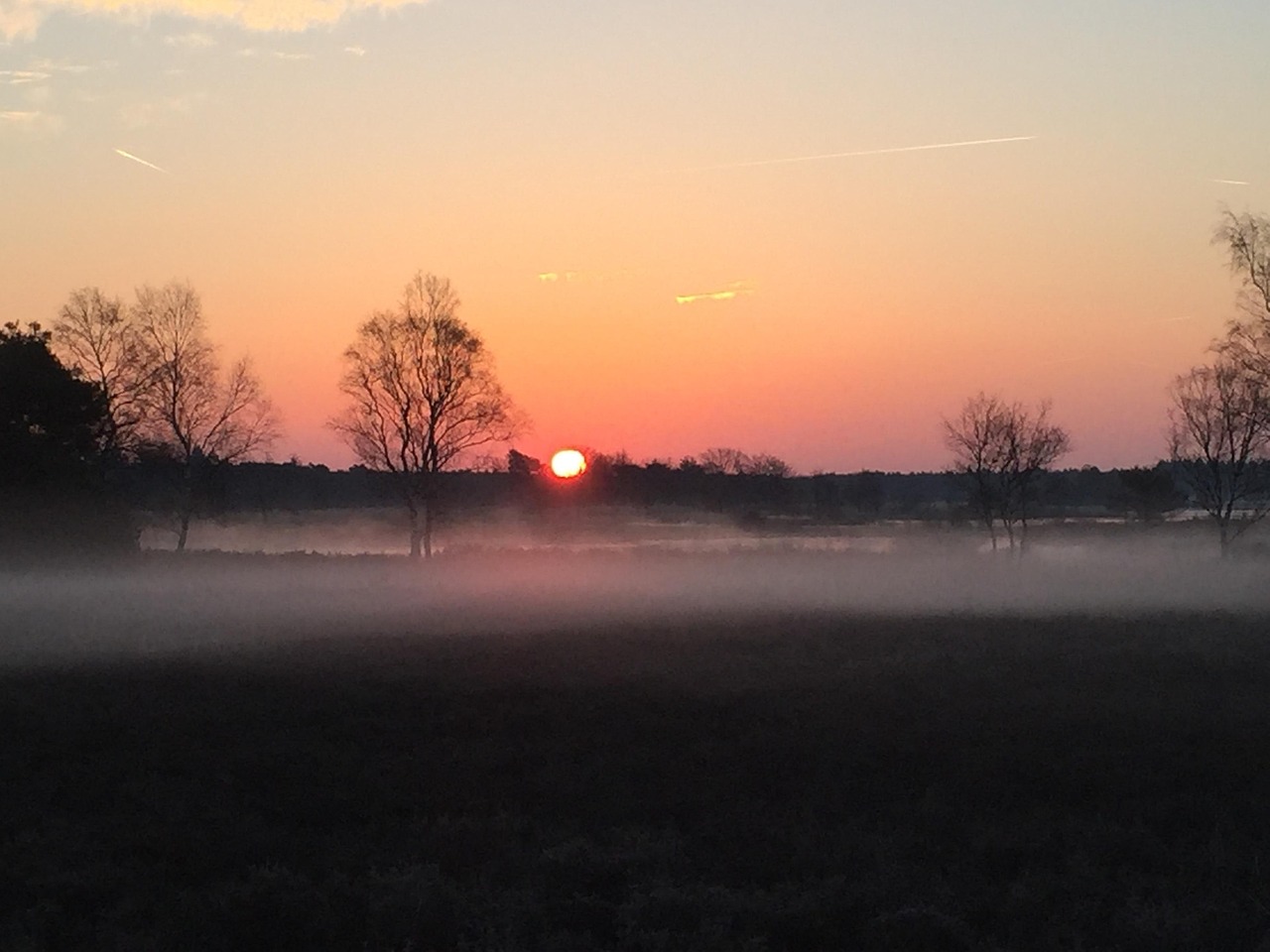 Morning Sunshine Nature - Free photo on Pixabay - Pixabay