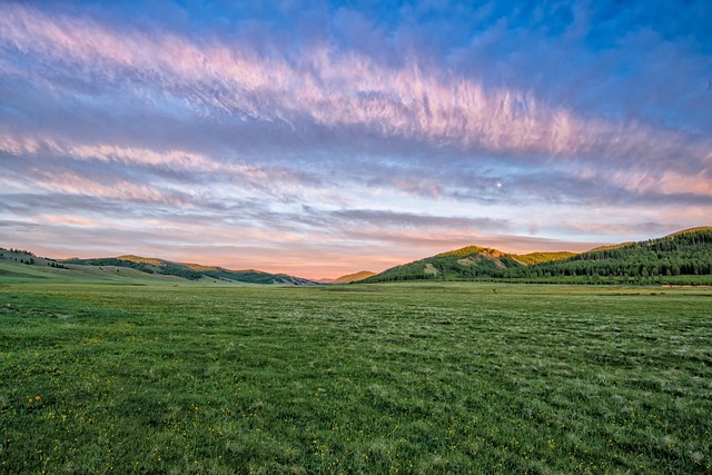 800+ Free June & Nature Images - Pixabay