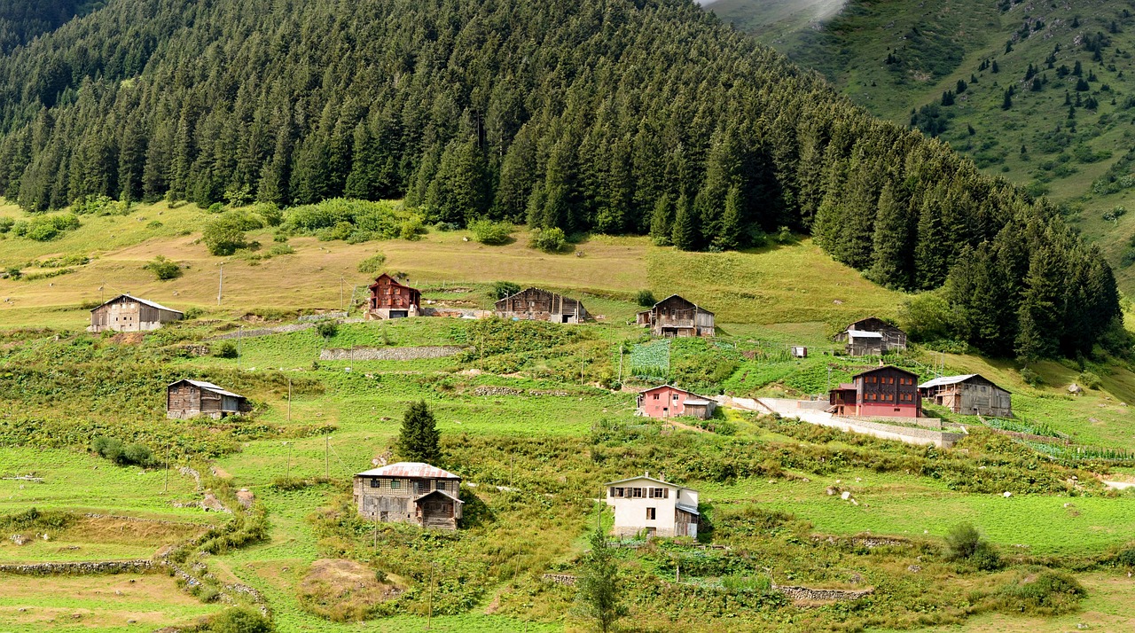 Oriental Del Mar Negro Rize Ayder - Foto gratis en Pixabay - Pixabay