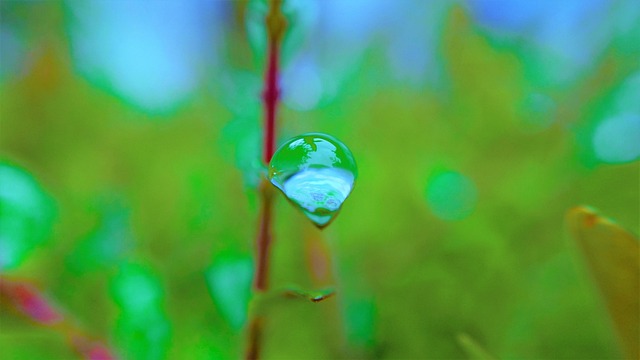 Macro Rain Drop Water - Free photo on Pixabay - Pixabay