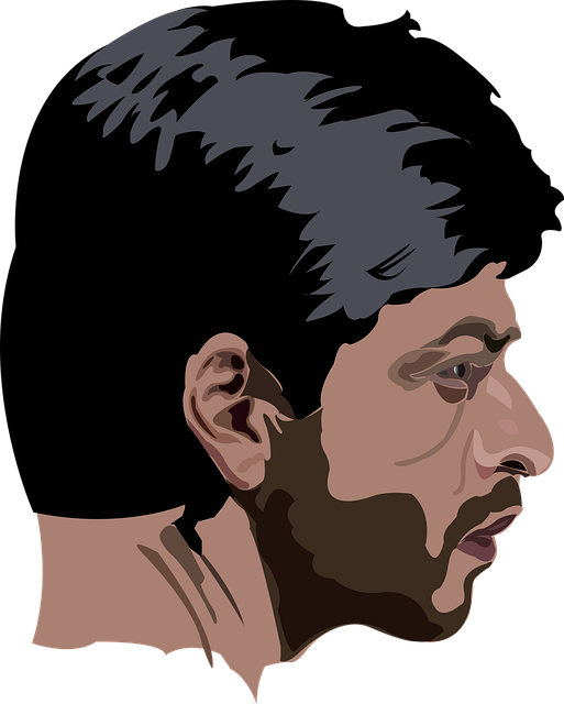 800+ Free Bollywood Actor & Actor Images - Pixabay