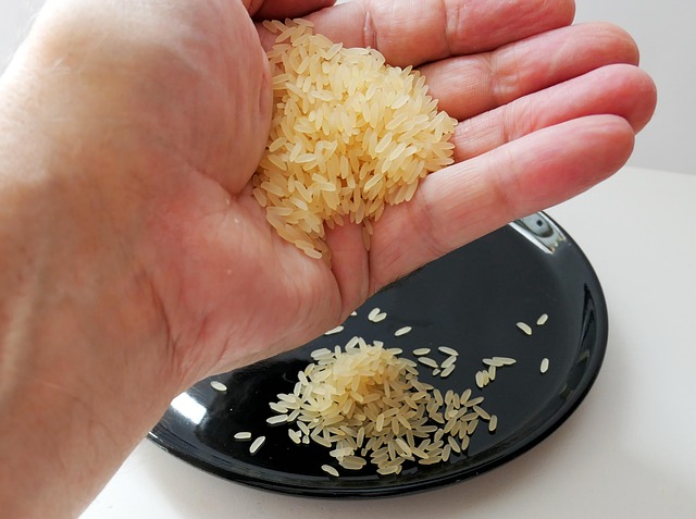 Handful Of Rice Bowl - Free photo on Pixabay - Pixabay