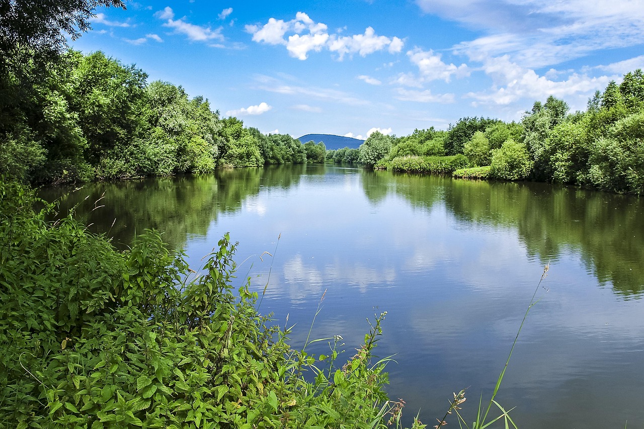 Gravel Pond Water - Free photo on Pixabay - Pixabay