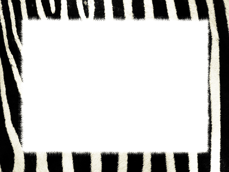 20+ Free Zebra Print & Zebra Images - Pixabay