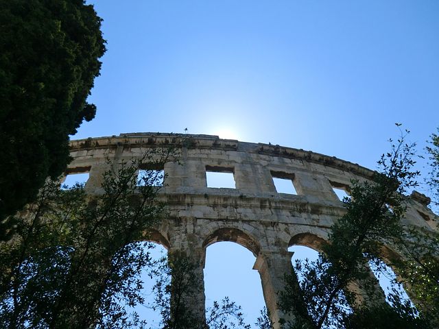 Peste 100 de imagini gratuite cu Pule și Pula - Pixabay