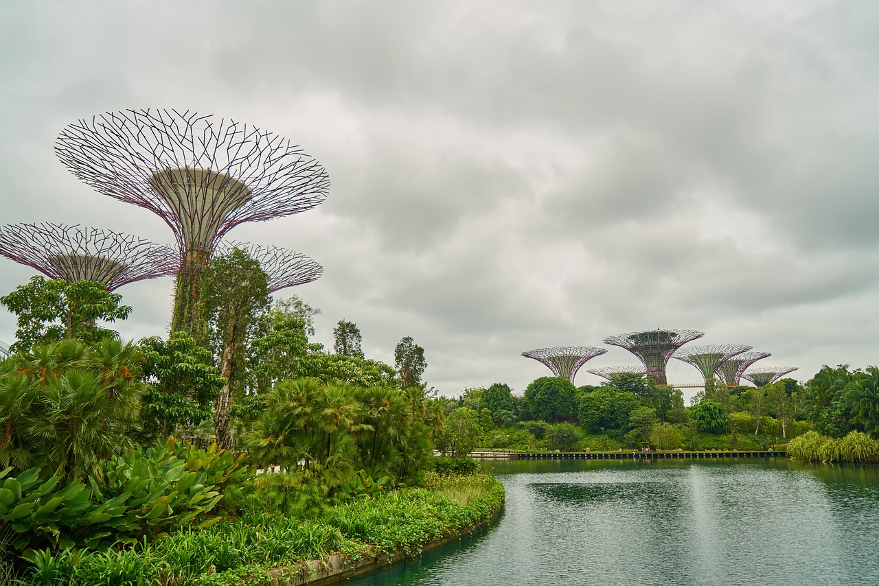 Singapur Naturaleza Parque - Foto gratis en Pixabay - Pixabay