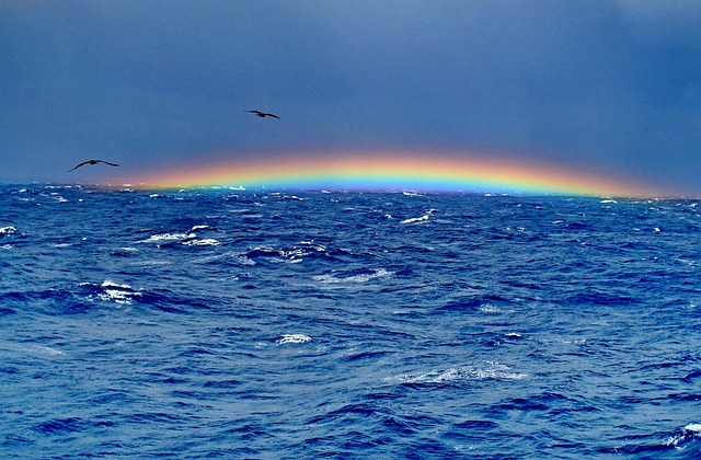 3,000+ Free The Bermuda Triangle & Triangle Images - Pixabay