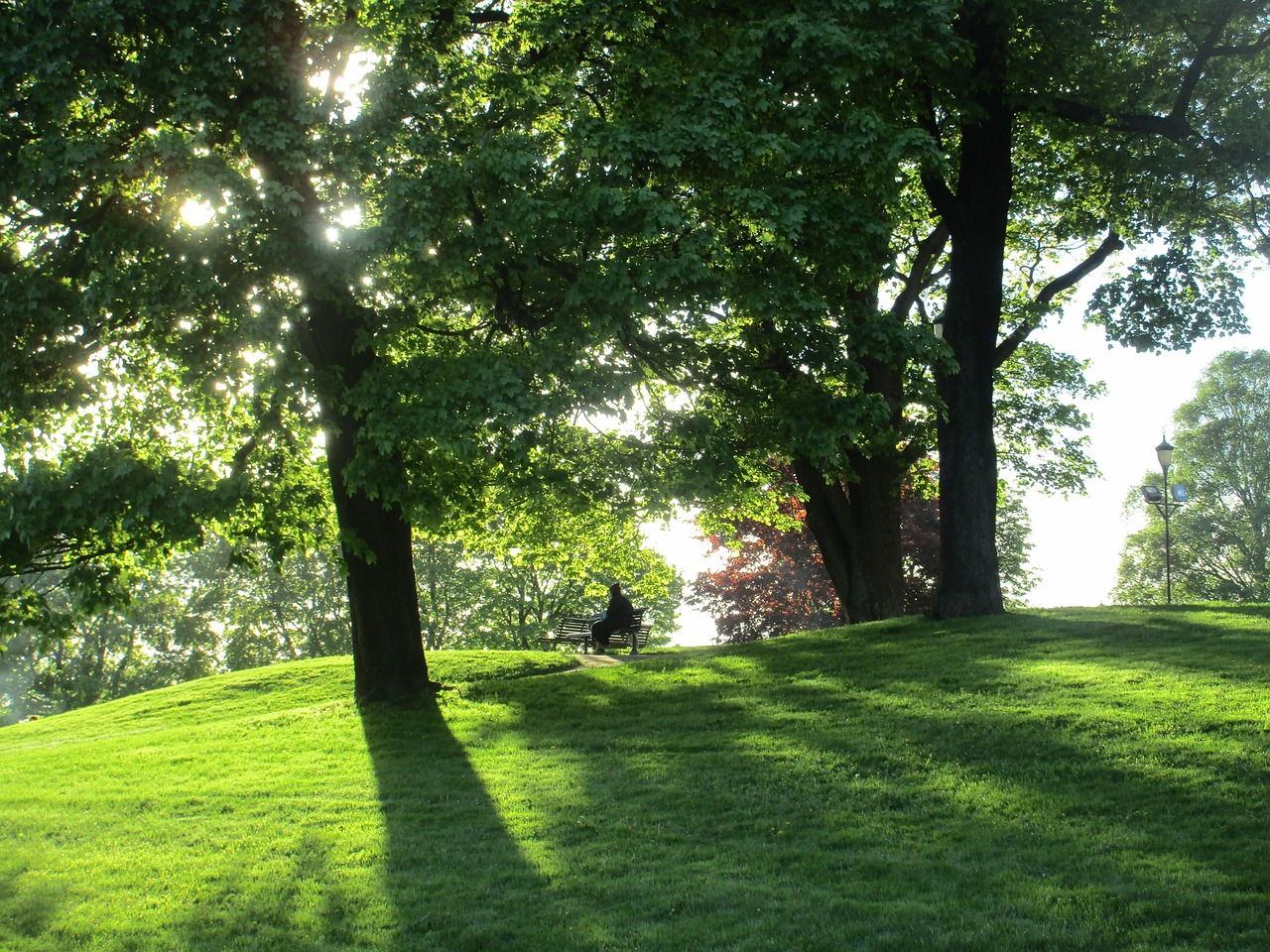Relaxing Reading Park - Free photo on Pixabay - Pixabay