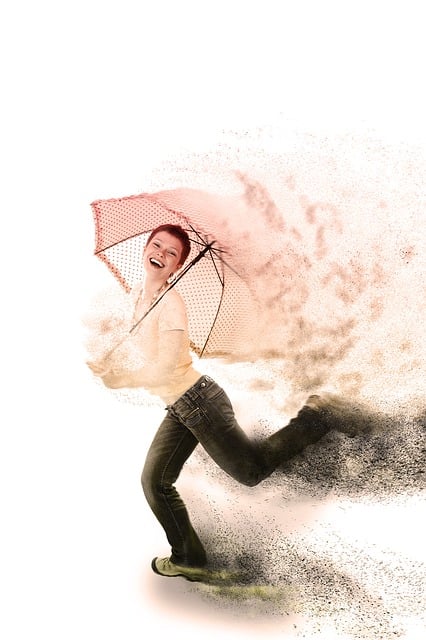Plus de 20 illustrations gratuites de Fuir et de Au Revoir - Pixabay