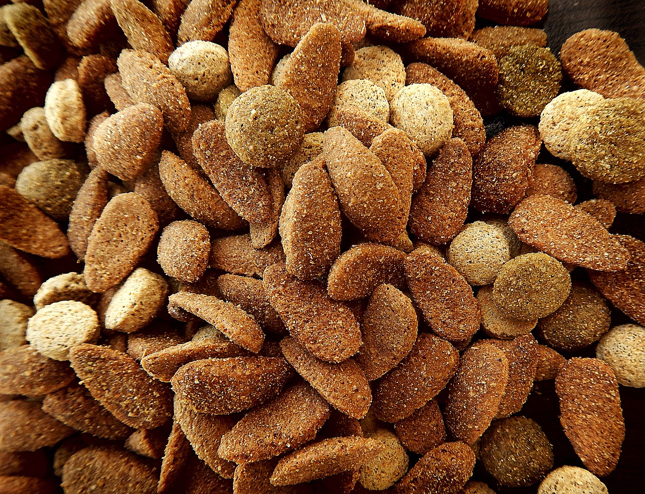 Dog Feed Animal - Free photo on Pixabay
