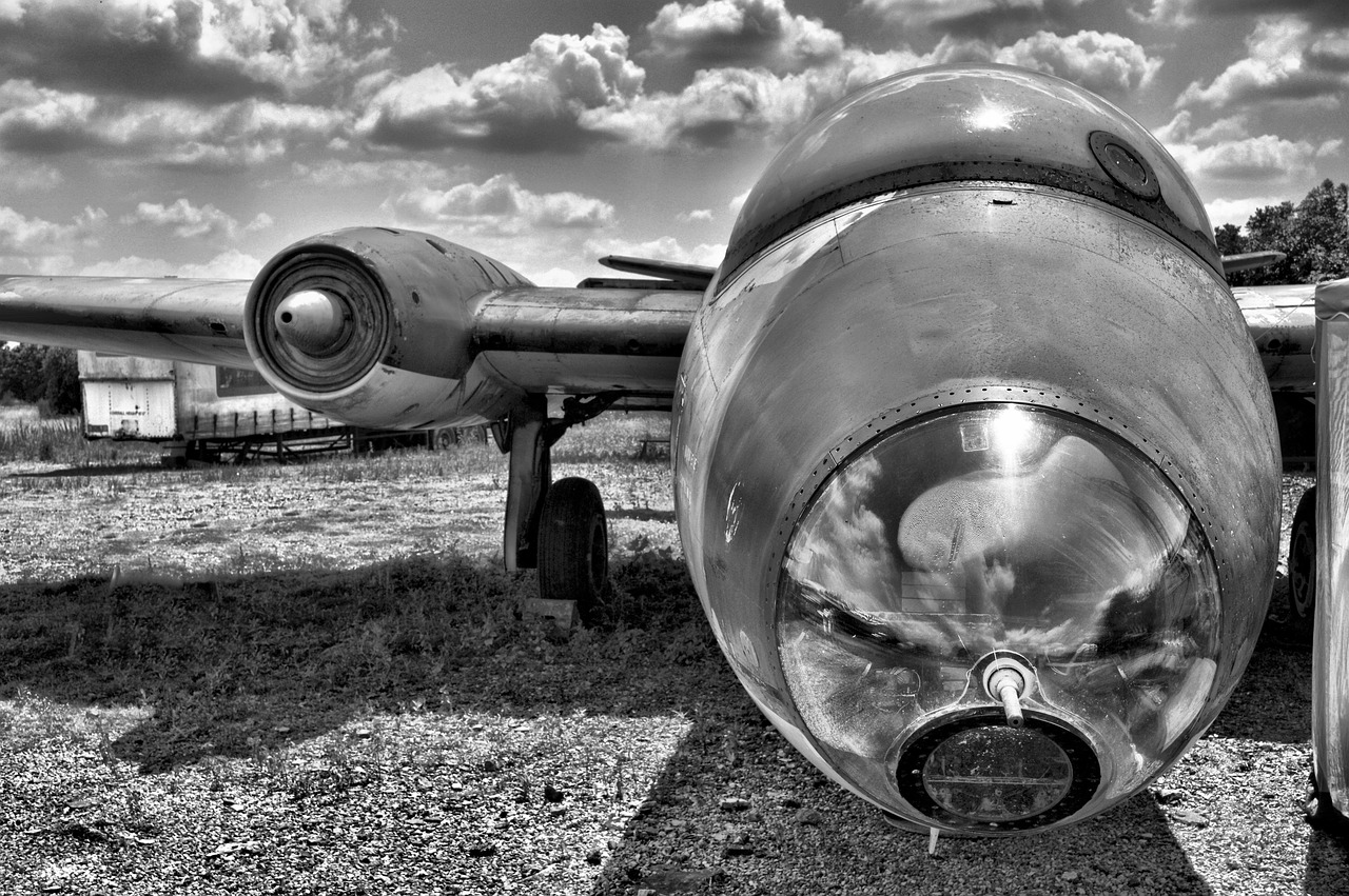 60+ Free Canberra & Australia Images - Pixabay