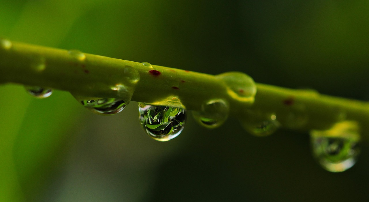 200,000+ Free Water Transparent & Transparent Images - Pixabay