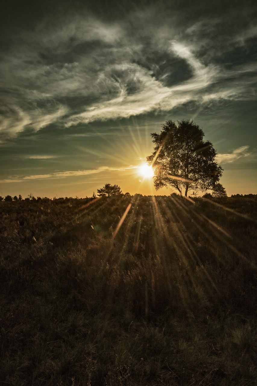Sunrise Heaven Morning - Free photo on Pixabay - Pixabay