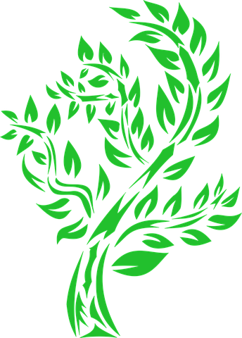100+ Free Leave Vector & Leaf Illustrations - Pixabay