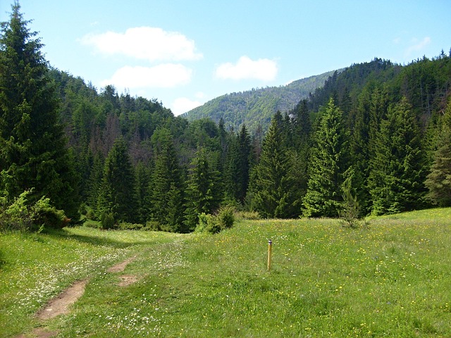 Prosiecká Dolina Rocas Naturaleza - Foto gratis en Pixabay - Pixabay