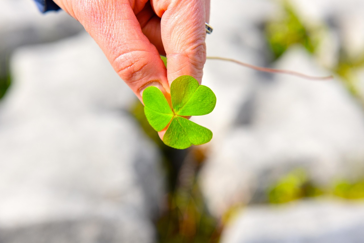 40,000+ Free Trinity Symbol & Trinity Images - Pixabay