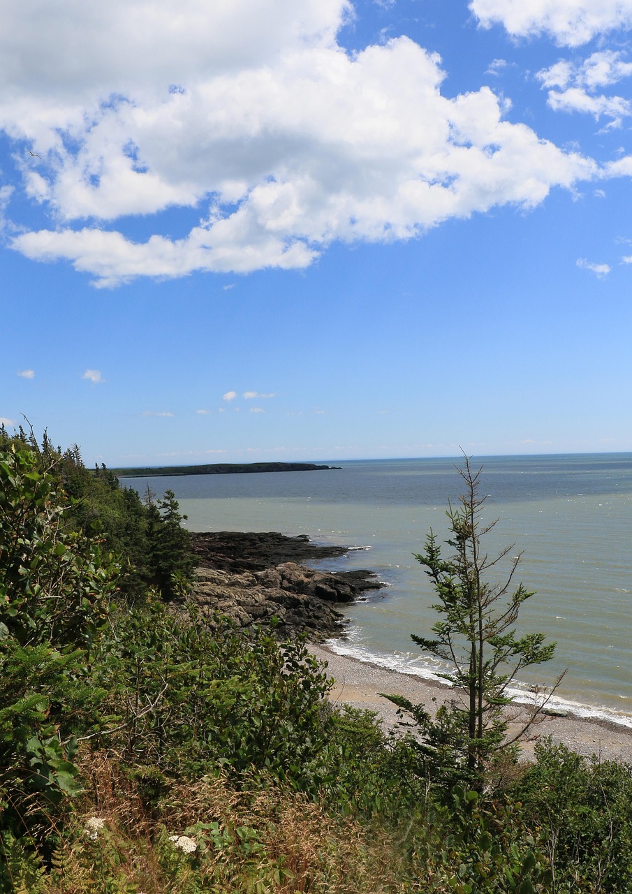 20,000+ Free New-Brunswick & New Brunswick Images - Pixabay