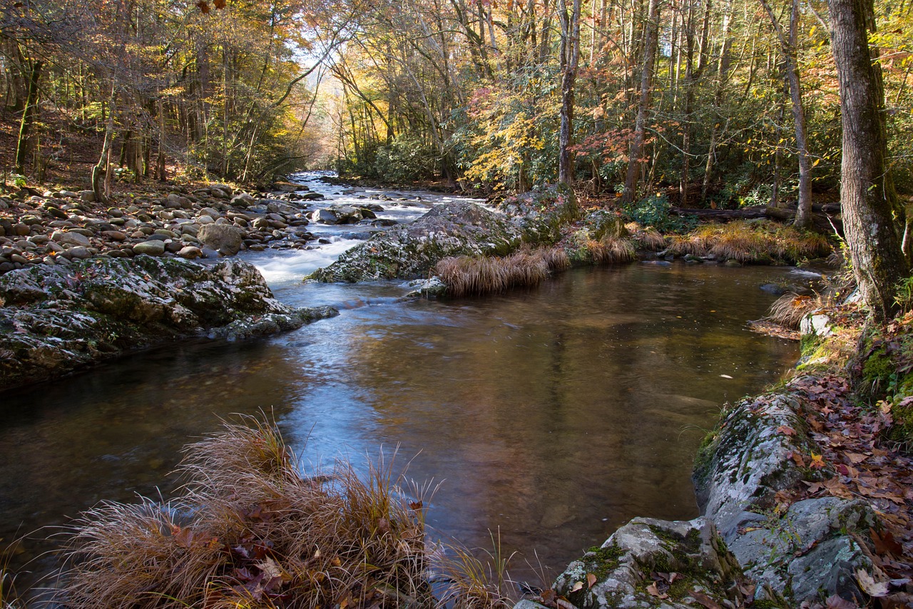 Creek Smoky Mountain National Park - Free photo on Pixabay