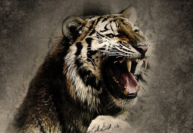 7,000+ Free Tiger Roar & Tiger Images - Pixabay