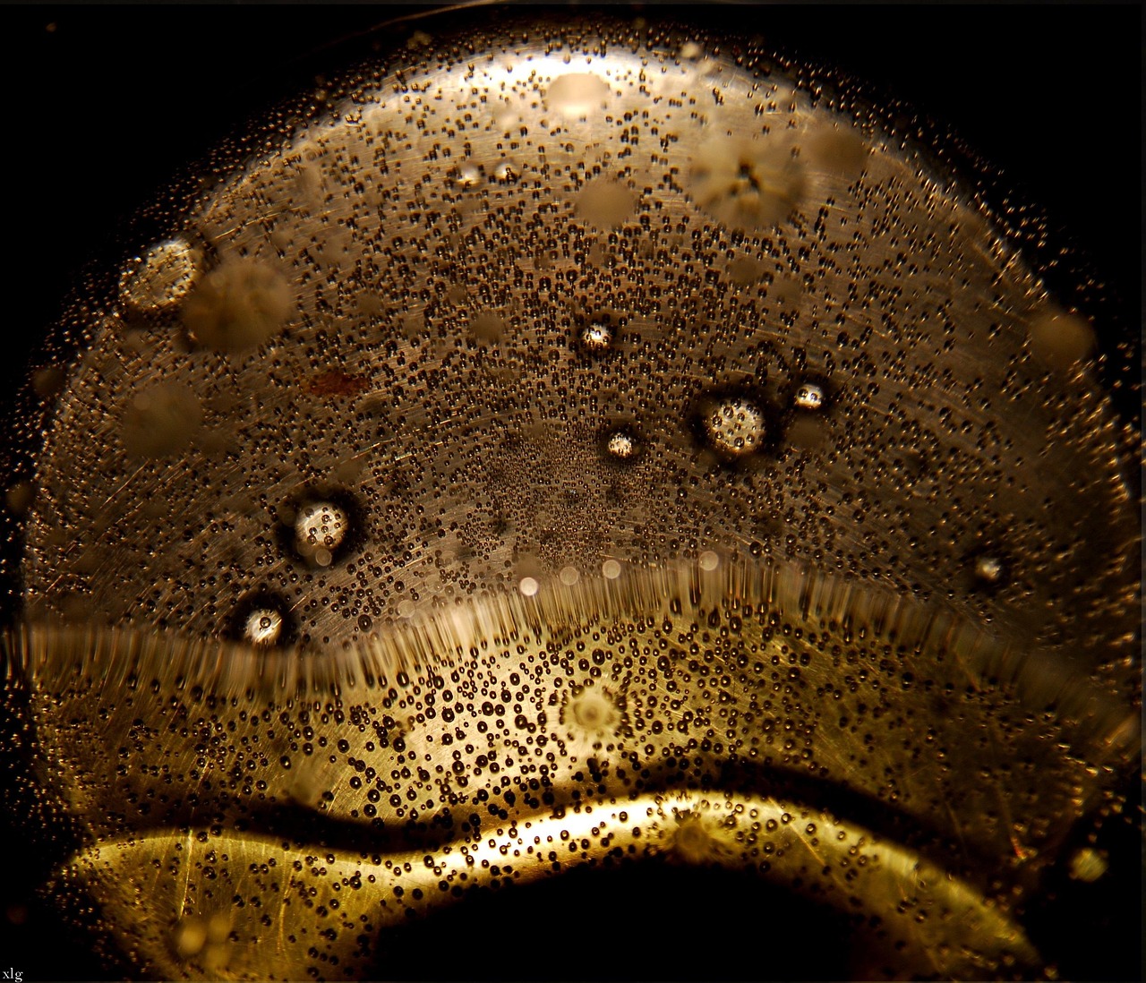 40,000+ Free Boiling Water & Nature Images - Pixabay