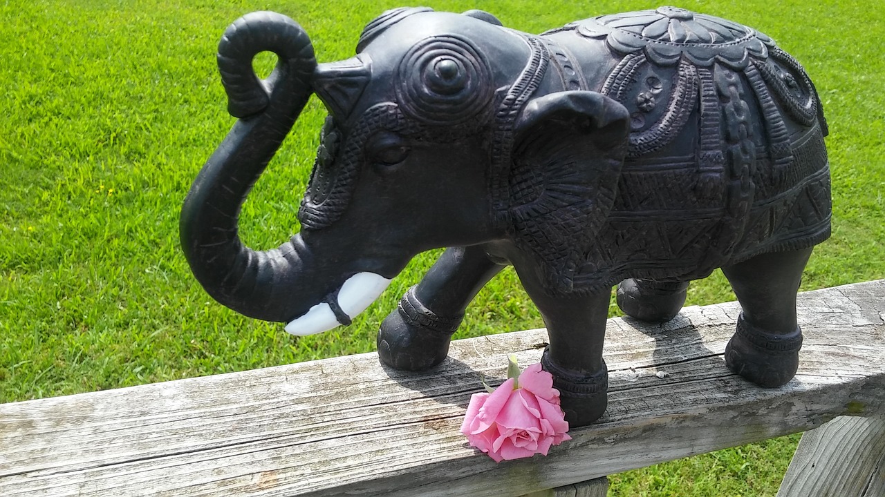 Symbolisch Elefant Pinke Rose - Kostenloses Foto auf Pixabay - Pixabay