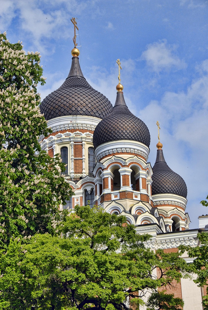 300+ Free Tallinn & Estonia Photos - Pixabay