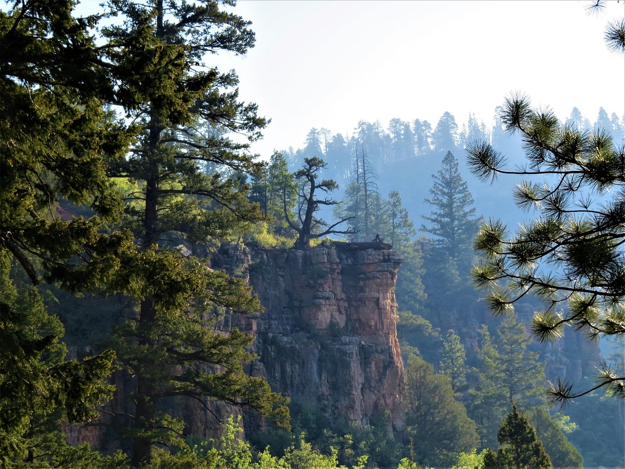 North Rim Del Gran Cañón - Foto gratis en Pixabay - Pixabay