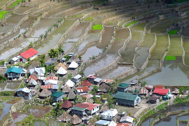 Rice Field Philippines Terraces - Free photo on Pixabay