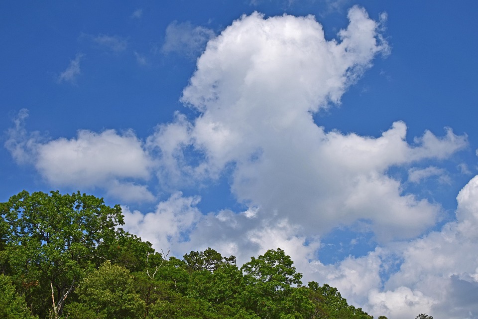Cúmulos De Nubes Sobre Los Árboles - Foto gratis en Pixabay - Pixabay