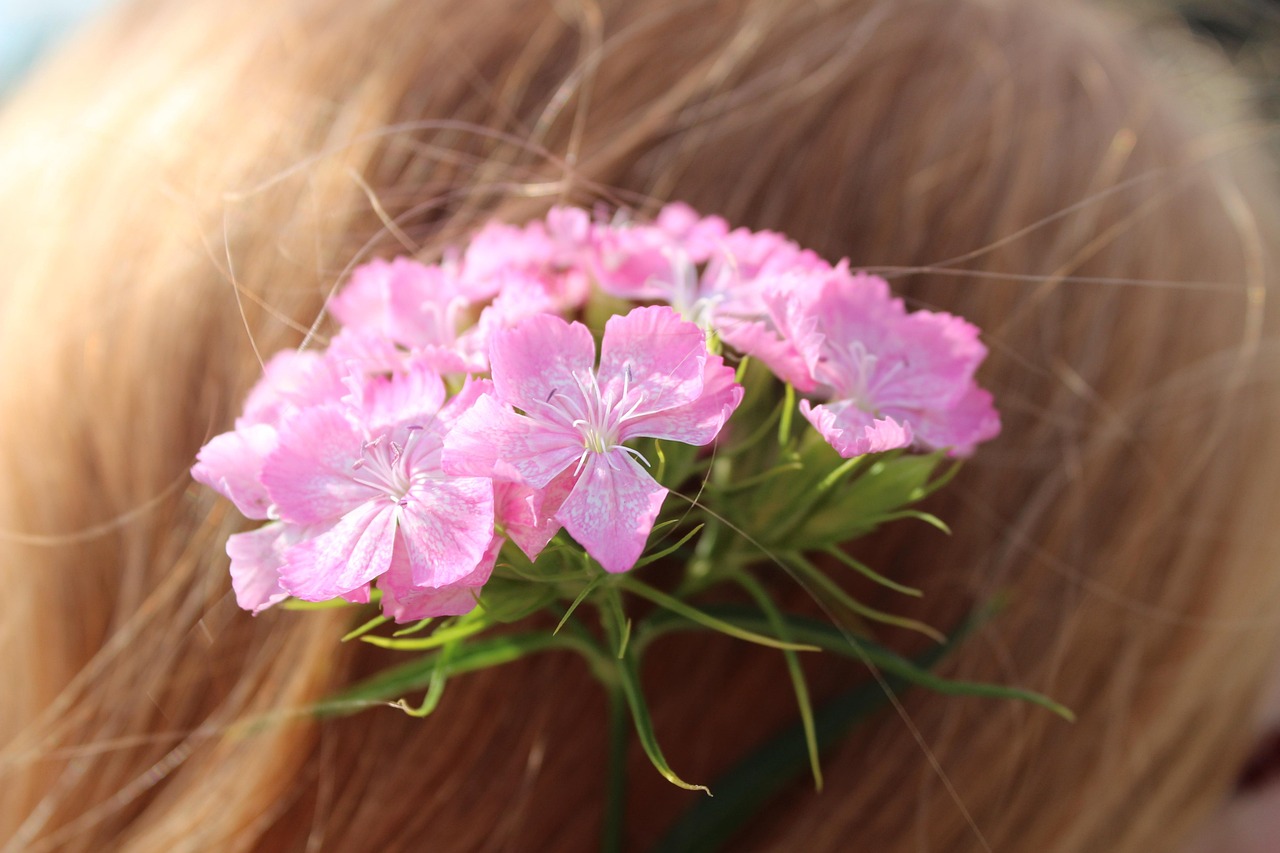 Flores No Cabelo Rosa - Foto gratuita no Pixabay - Pixabay