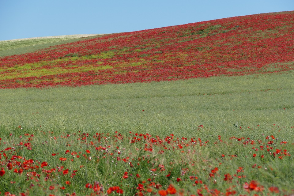 Perspective Perspectives Domaine - Photo gratuite sur Pixabay - Pixabay