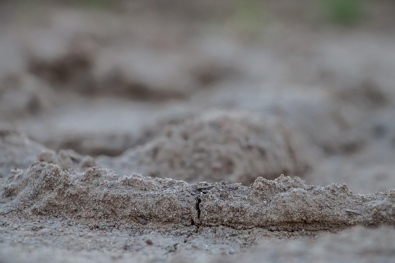 Tierra Piso Agrietado - Foto gratis en Pixabay - Pixabay