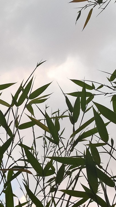 Vento Natureza Céu - Foto gratuita no Pixabay