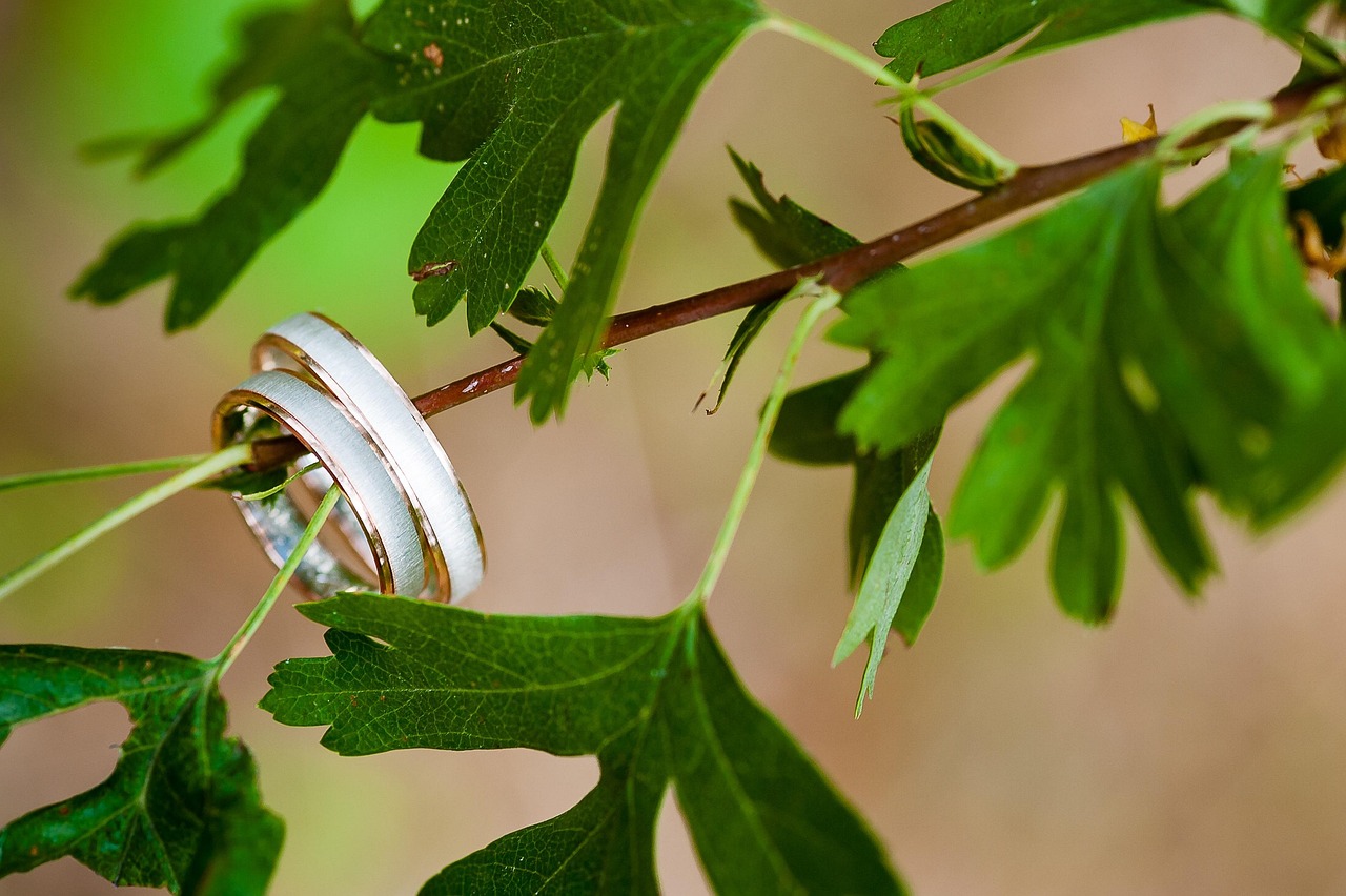 Wedding Rings Tree - Free photo on Pixabay