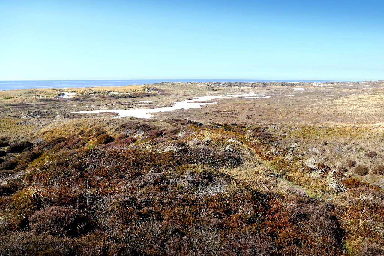 Dunes Mer Du Nord - Photo gratuite sur Pixabay - Pixabay