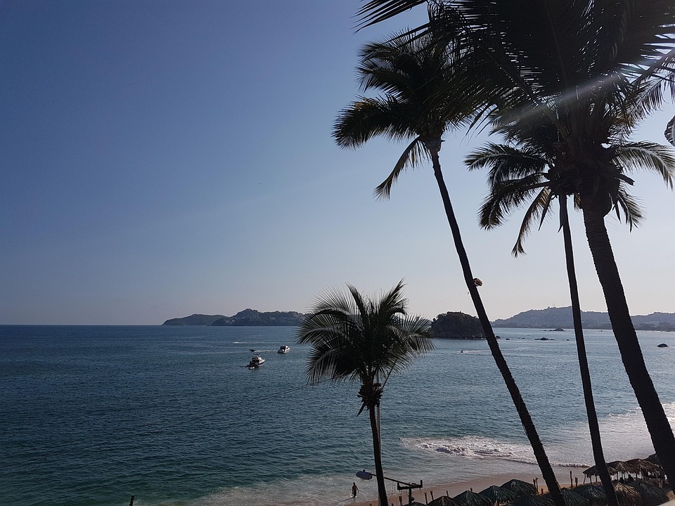 Palms Blue Sea - Free photo on Pixabay - Pixabay