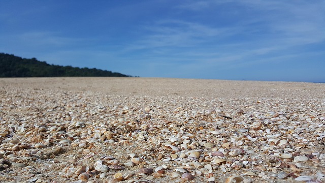 Beach Sea Sand - Free photo on Pixabay