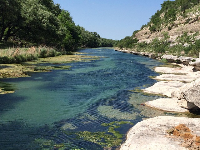 Nature Texas Outdoor - Free photo on Pixabay - Pixabay
