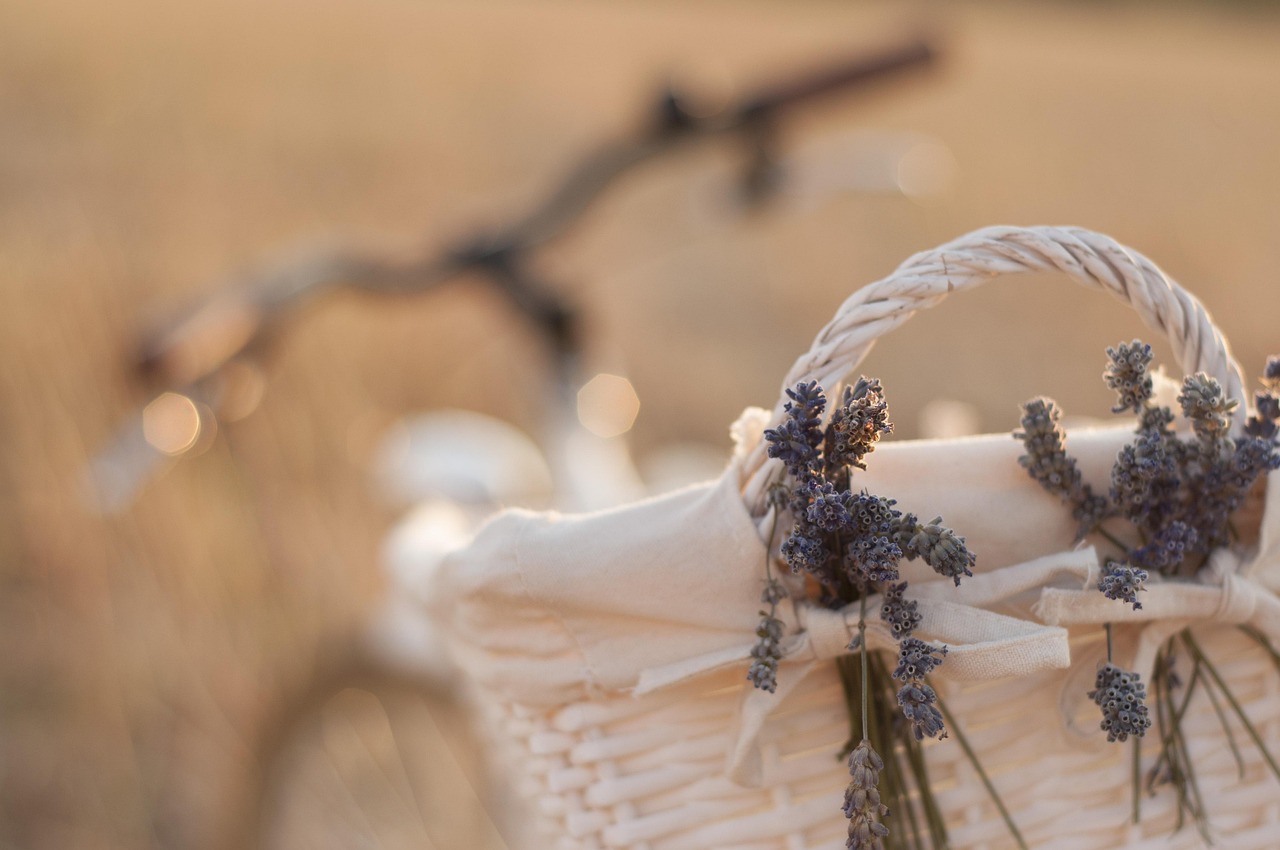 Una Bicicleta Lavanda Cesta - Foto gratis en Pixabay