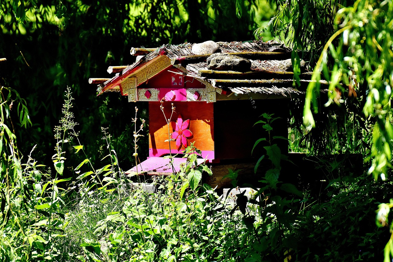 Plus de 1 000 photos gratuites de Ruches et de Apiculture - Pixabay
