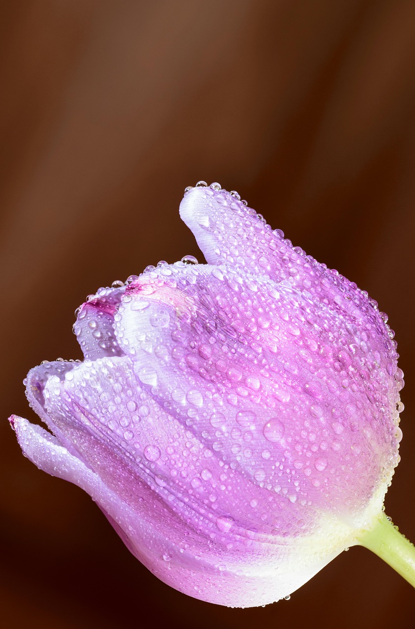 Art Artistic Arty - Free photo on Pixabay - Pixabay