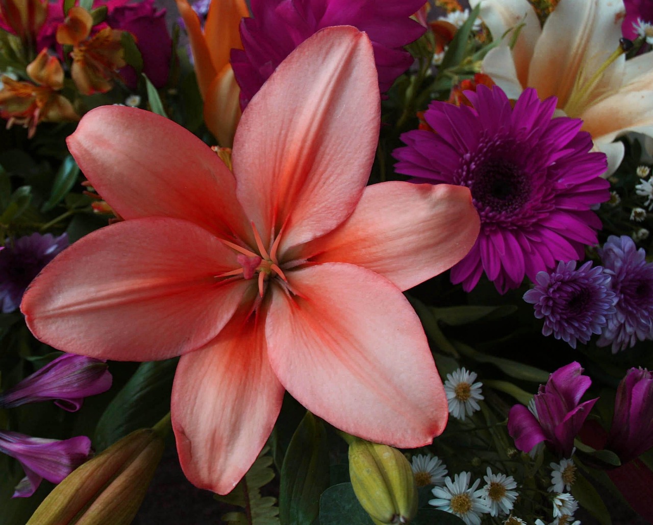 Fleurs Fleur La - Photo gratuite sur Pixabay - Pixabay