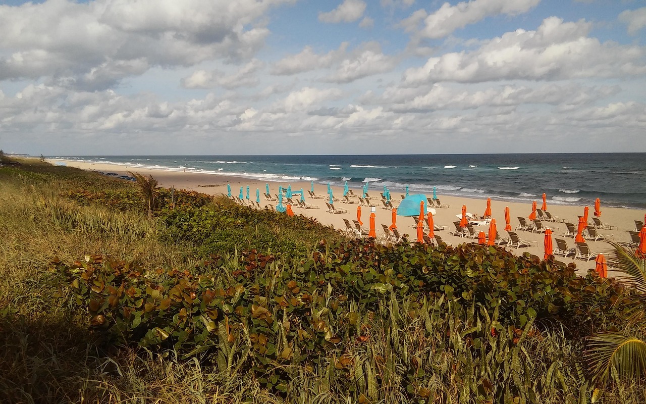 Beach Atlantic Florida Palm - Free photo on Pixabay - Pixabay