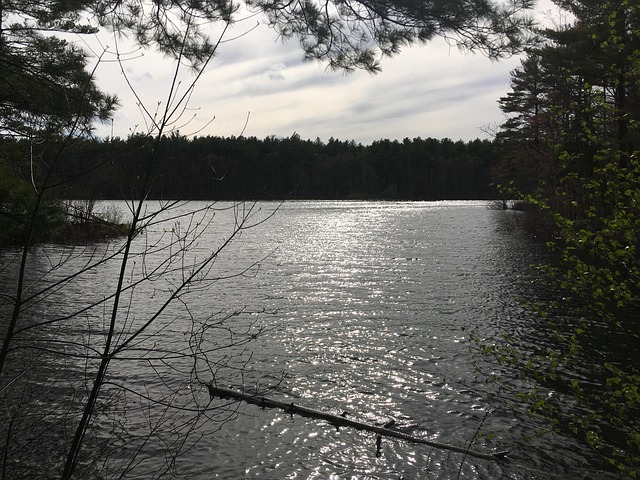 Boston Middlesex - Free photo on Pixabay