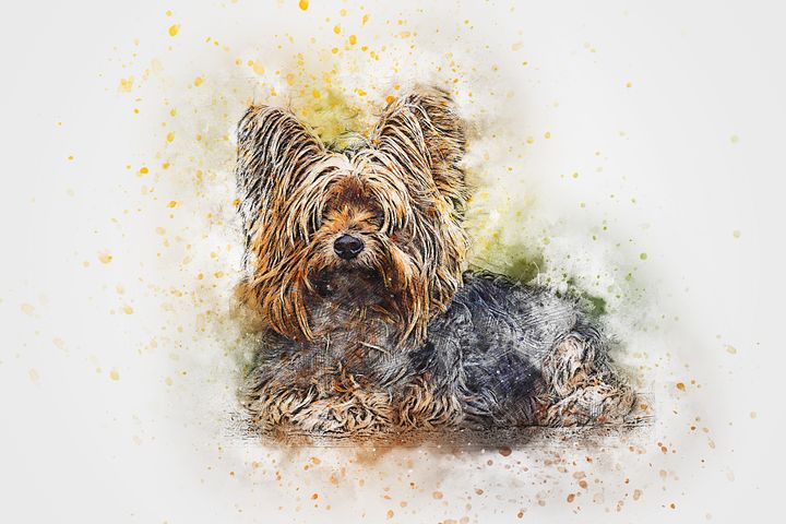 400+ Free Dog Art & Dog Images - Pixabay