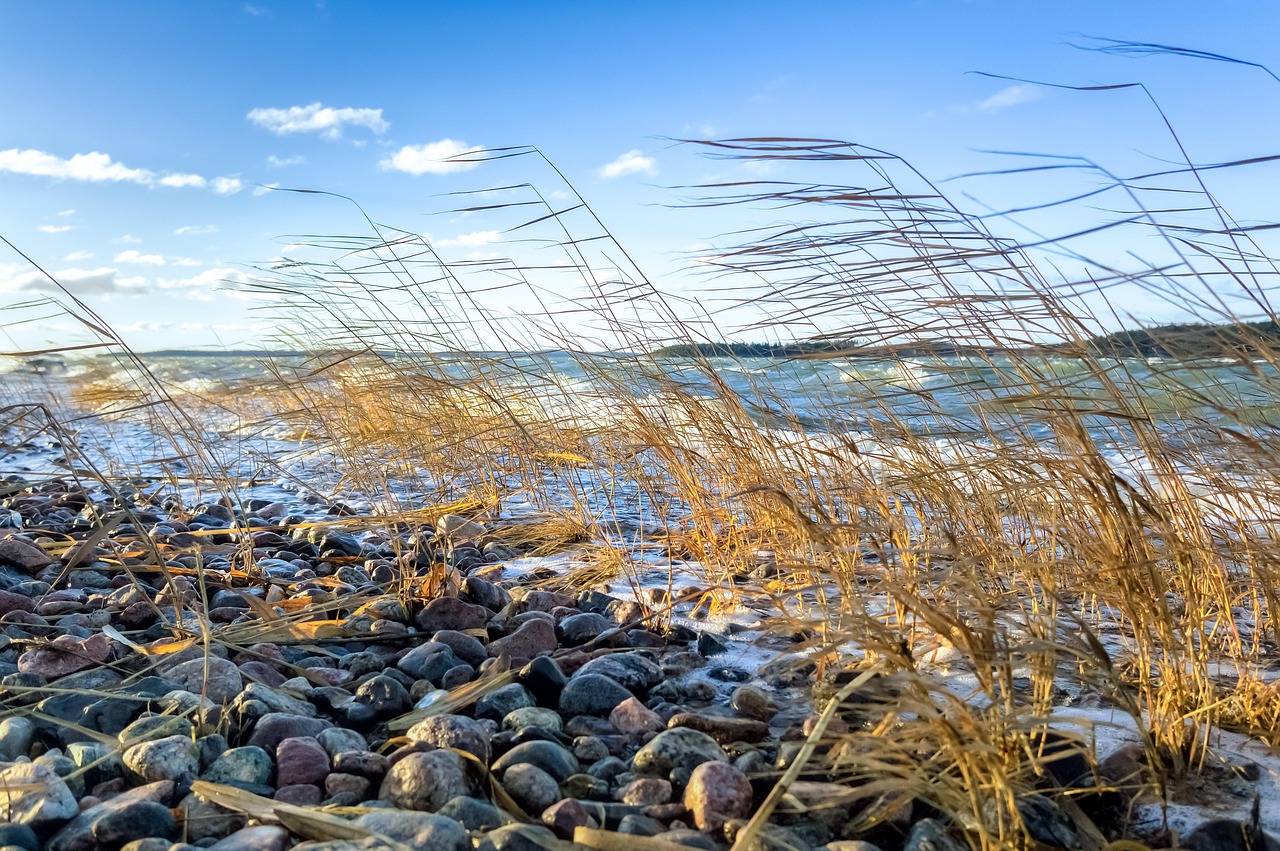70+ ilmaista Turku & Suomi kuvaa - Pixabay