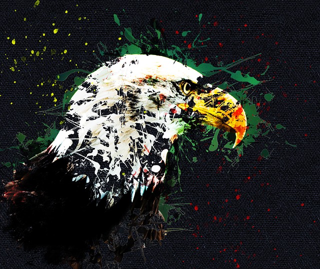 Burung Rajawali Satwa - Gambar gratis di Pixabay - Pixabay